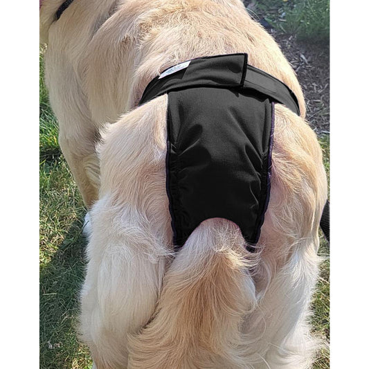 High-Cut Dog Diaper-Britches – Jack & Jill Dog Diapers