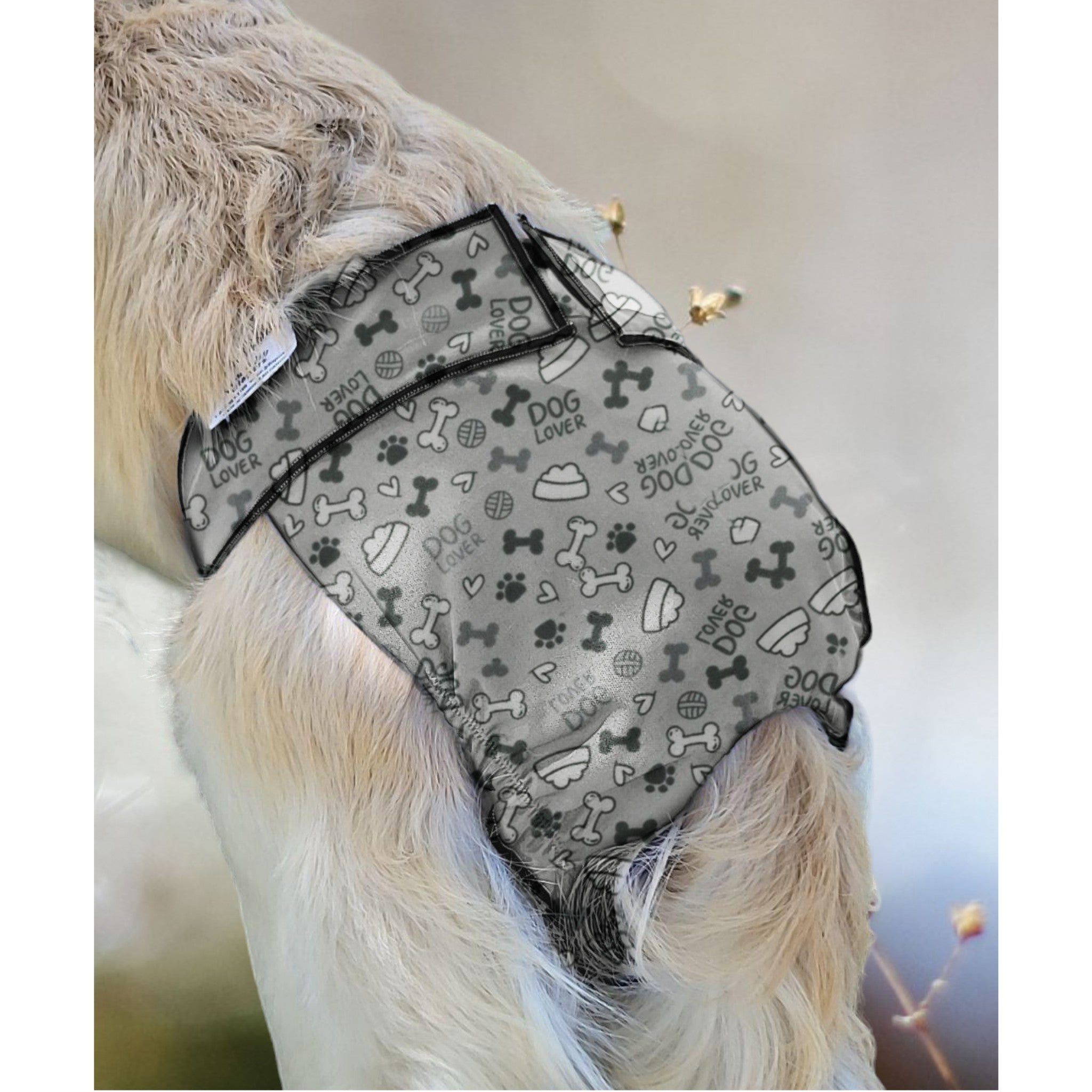 Comfortable & Stylish Female Dog Diaper| Britches | Tail Opening | Grey ...